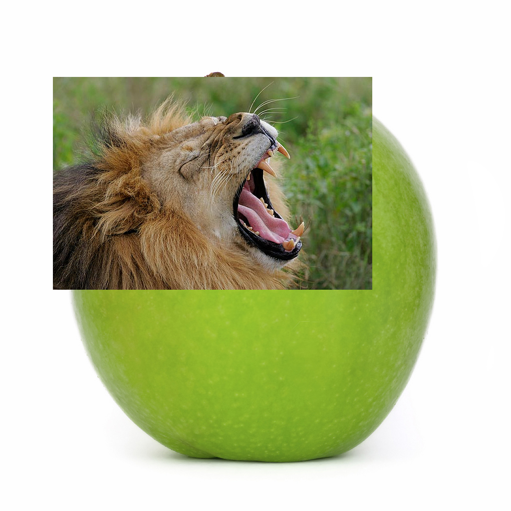 Menggabungkan 2 objek yang berbeda