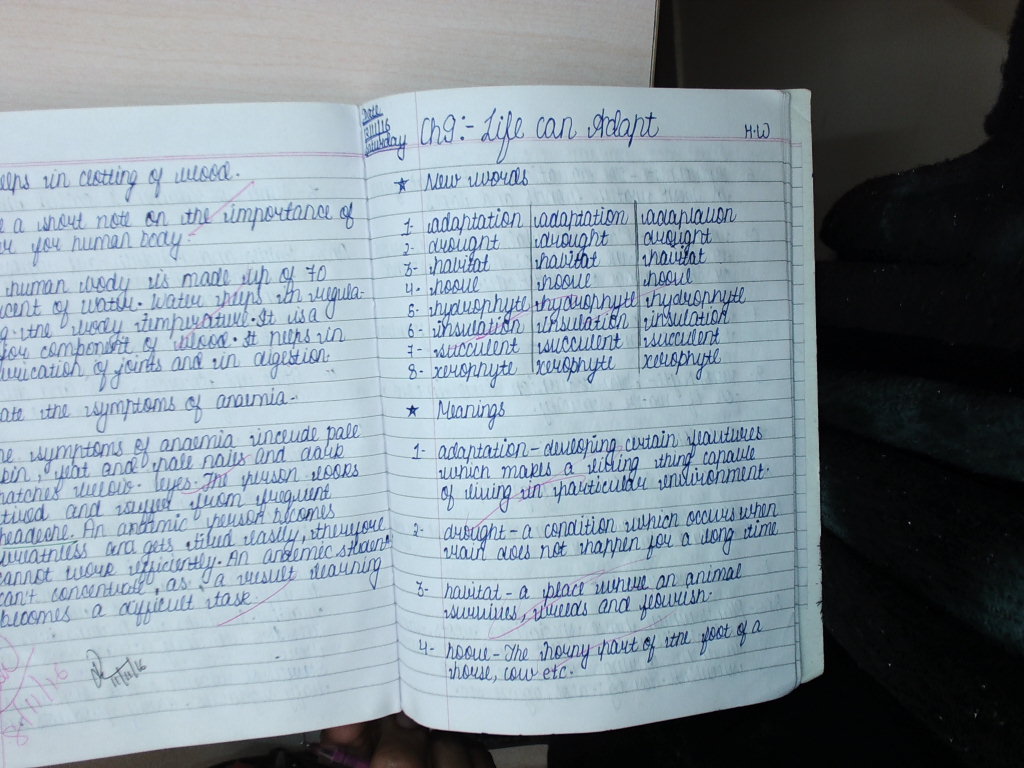 PIS VADODARA STD 6: GRADE 6 SCIENCE NOTE BOOK