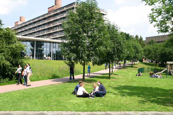 TAREA 1: DEFINICIÓN DE CONCEPTOS. COMUNIDAD