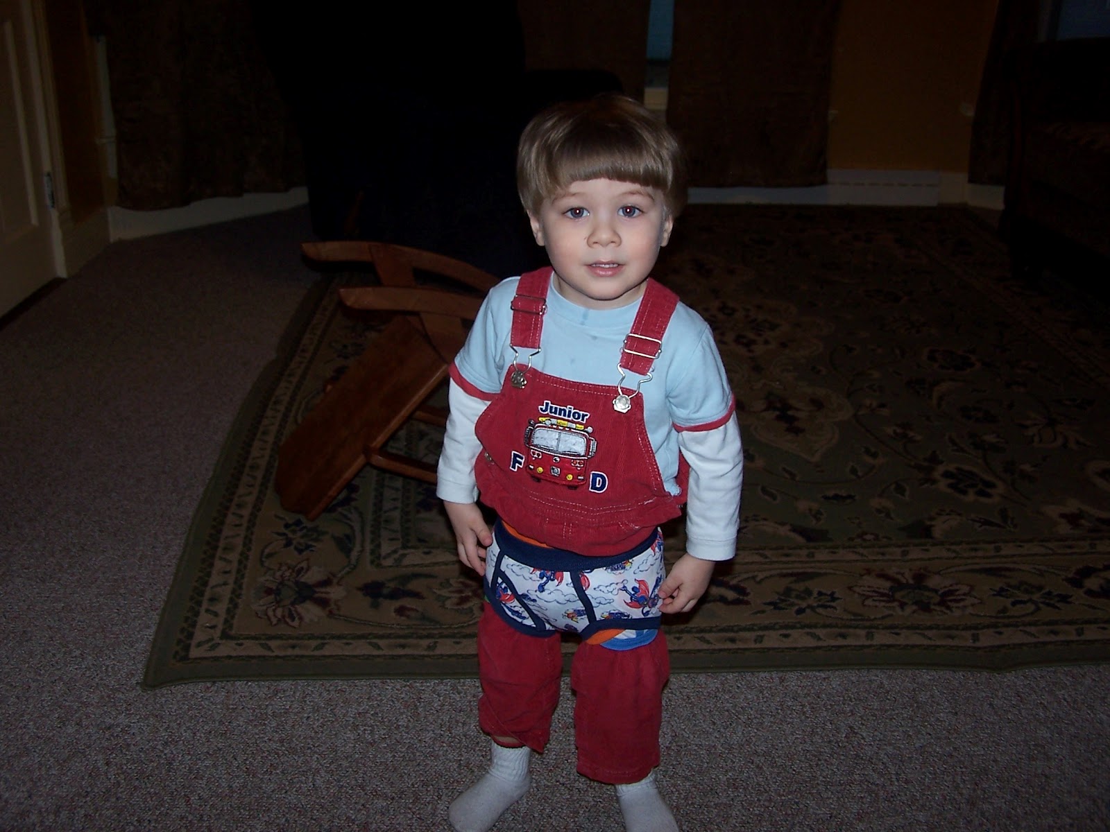 Mom's little place: Potty training made easy for children with and ...
