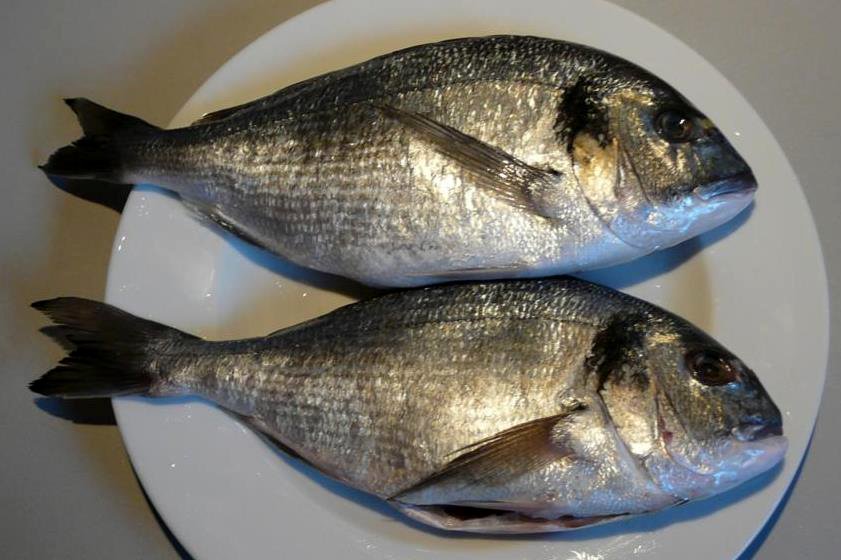 Kulinarische Welten zu Fisch- und Meeresfrucht: Dorade auf der ...
