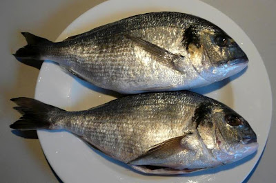 Kulinarische Welten zu Fisch- und Meeresfrucht: Dorade auf der ...