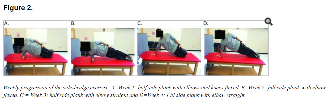 Quadruped Exercise Progression