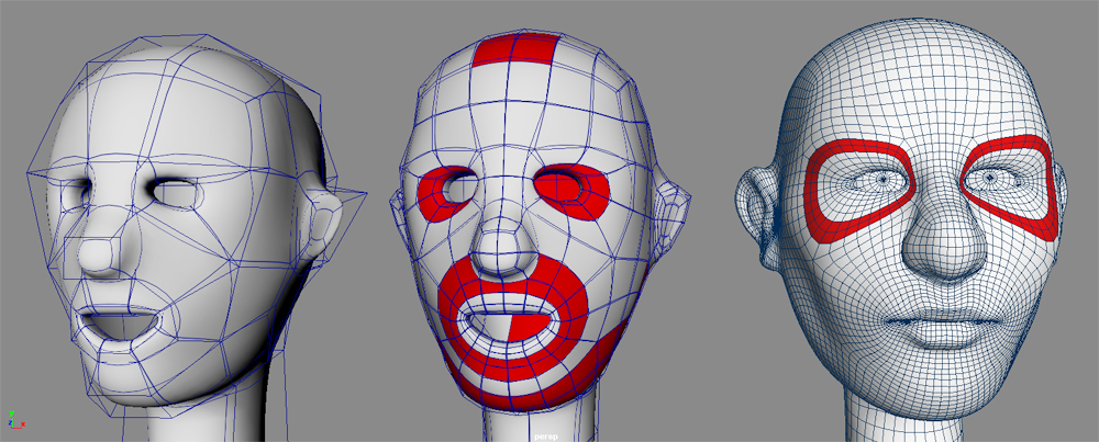 line test Face Loop 180110v01