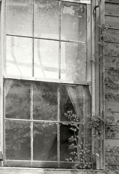 BARFSTEW = THE BARF OF IT ALL: OMG, Ghosts IN Window Of Spooky House