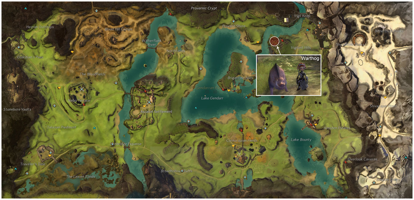 Guild Wars 2 Junkie: Pet Locations