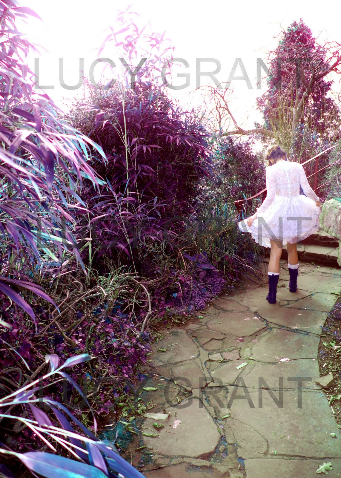 Lucy Grant: Portfolio