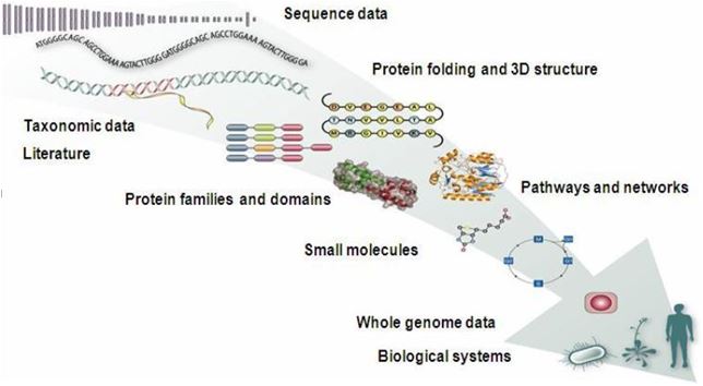 Importance of “BIOINFORMATICS” for Future developments in Biology ...