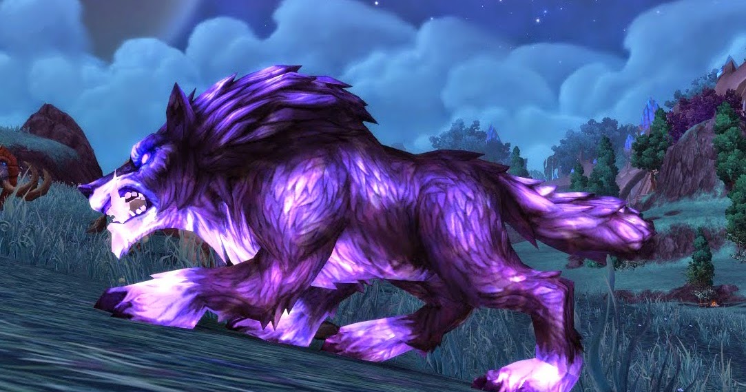 WoWPepe: Domestica a Gara