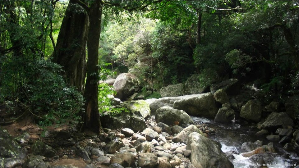 Belihul Oya: Belihul Oya