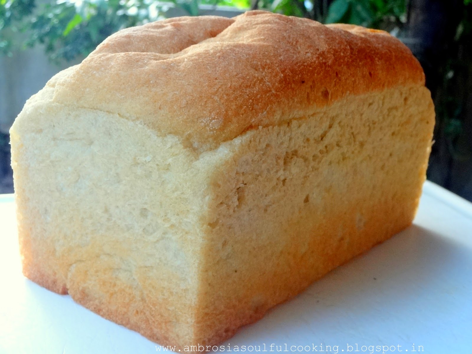 Ambrosia: Semolina Wholegrain Bread | Atta Sooji Bread