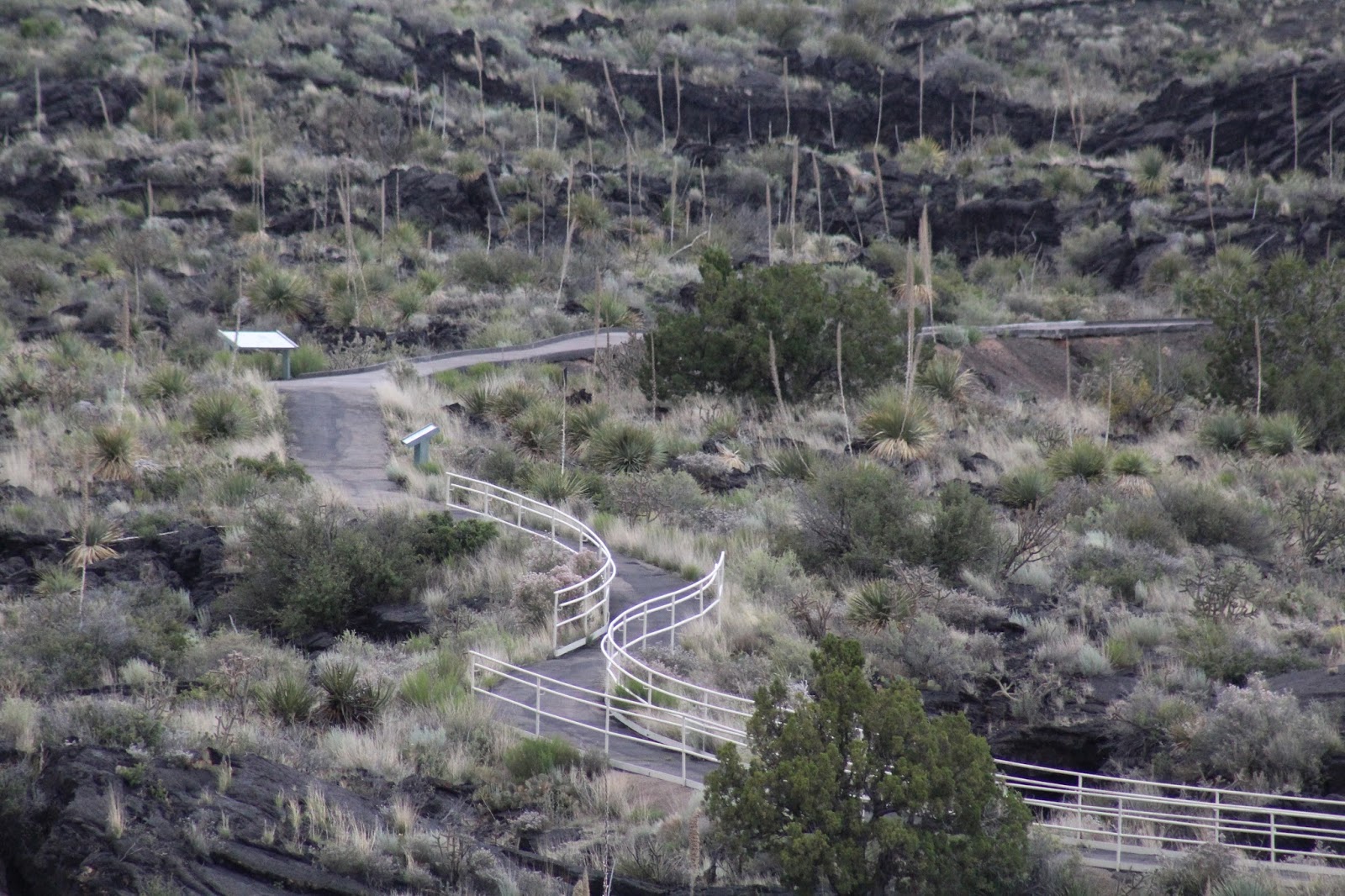 Restless Wilson's: Tall Mountains and the Real Rolling Turd