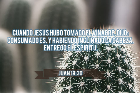 entrego su espíritu (Juan 19:30) - Al Dios que Adoramos
