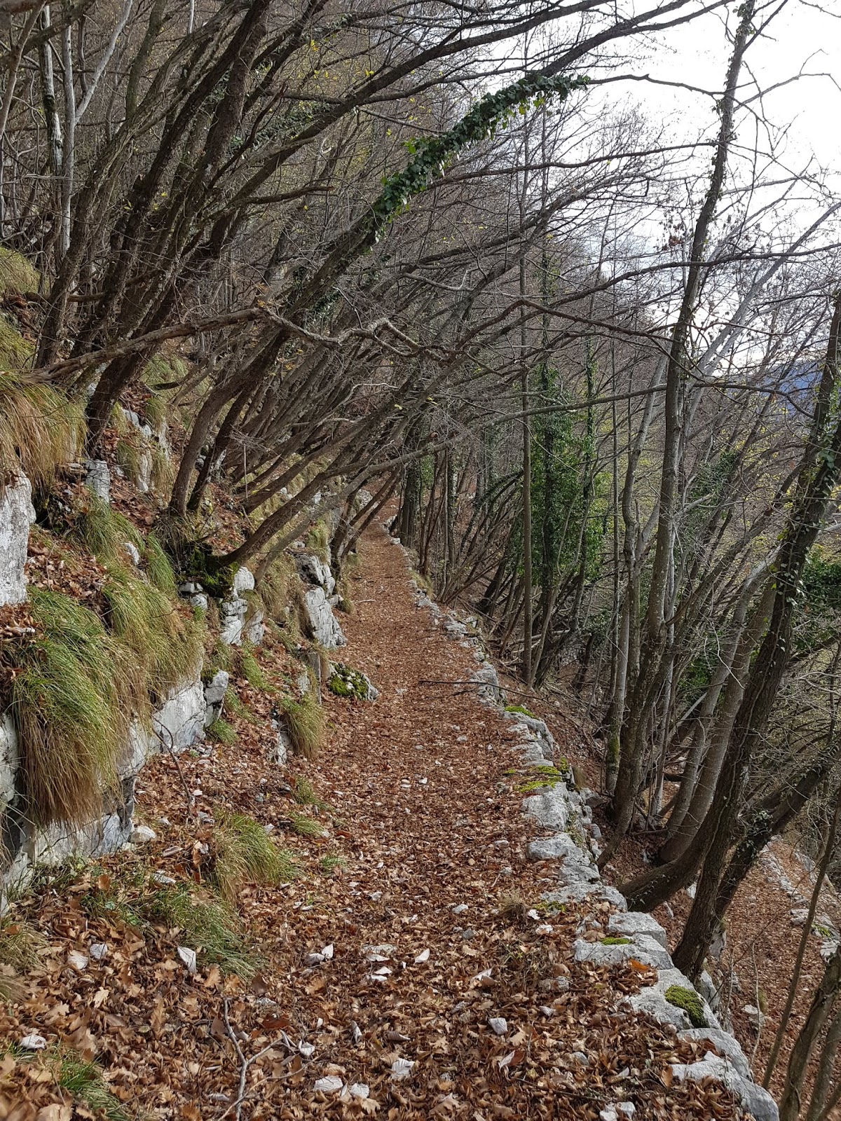 Su strade e sentieri: COL MOSCHIN (m. 1.279) - Massiccio del Grappa