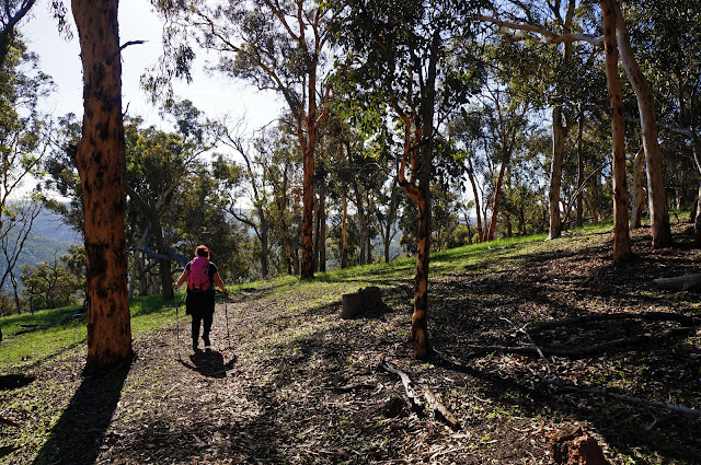 Numbat Track (Paruna Wildlife Sanctuary) ~ The Long Way's Better