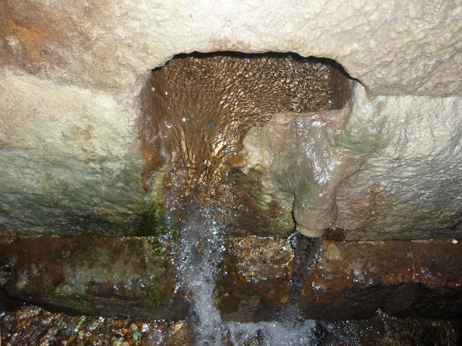 La Belleza y el Tiempo: Catarro