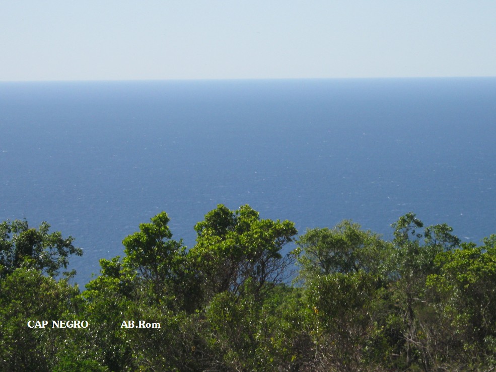 Cap Negro Tunisie 2012 (Nefza Béja ) - CAP-NEGRO-Romdhani.overblog.com
