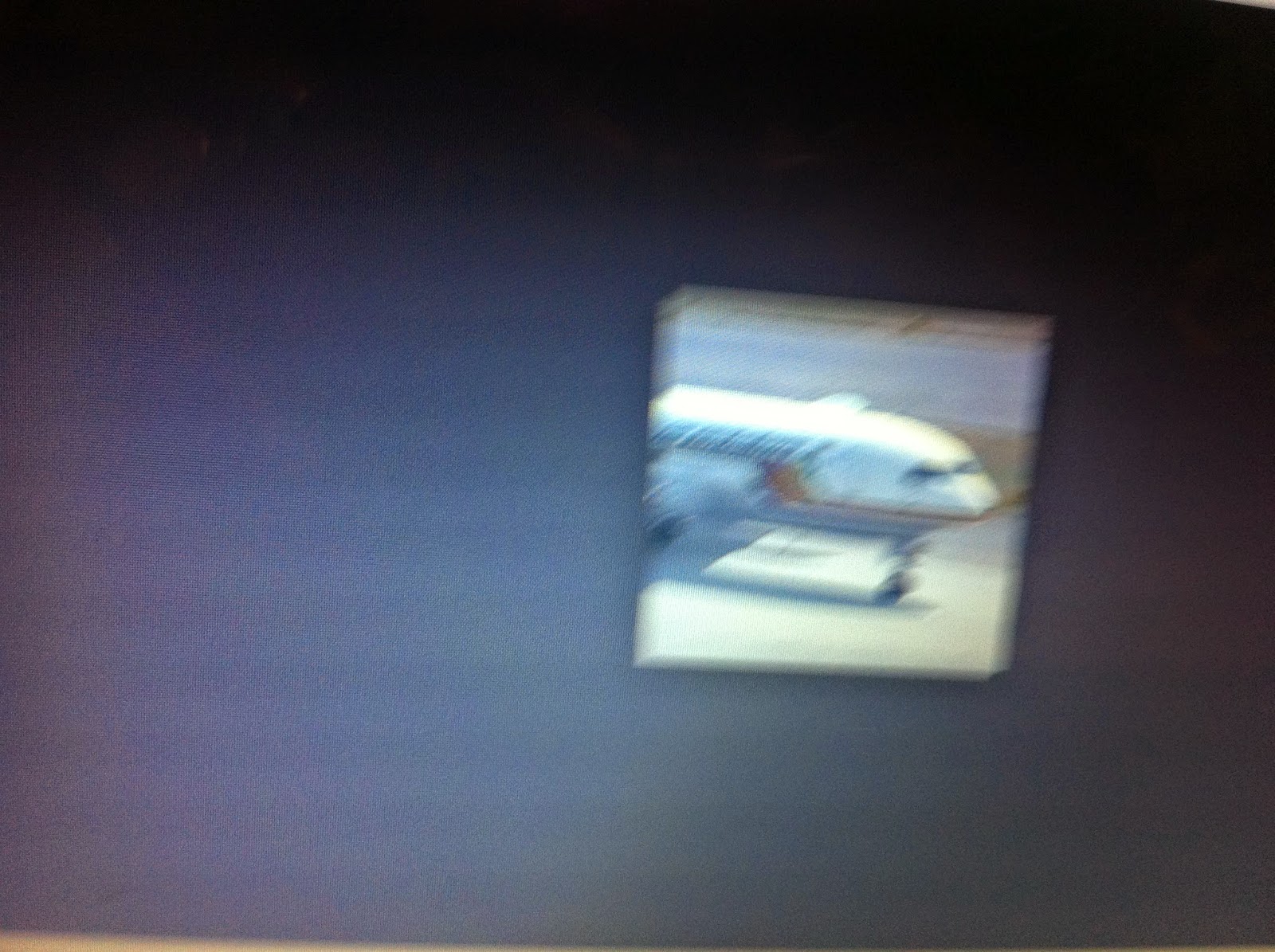 THE BLACK SOCIAL HISTORY:: BLACK SOCIAL HISTORY : AFRO-ZIMBABWEAN ...