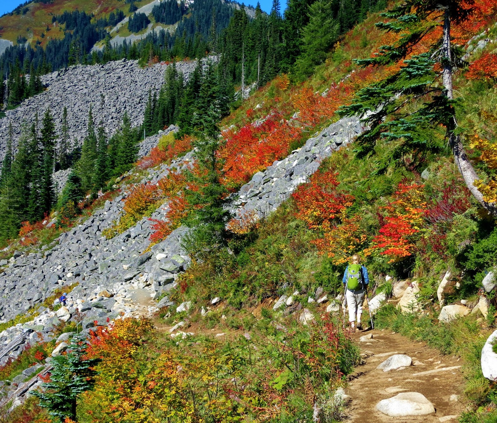 Pacific Northwest Seasons: Hiking to Mason Lake: Spectacular Views and ...