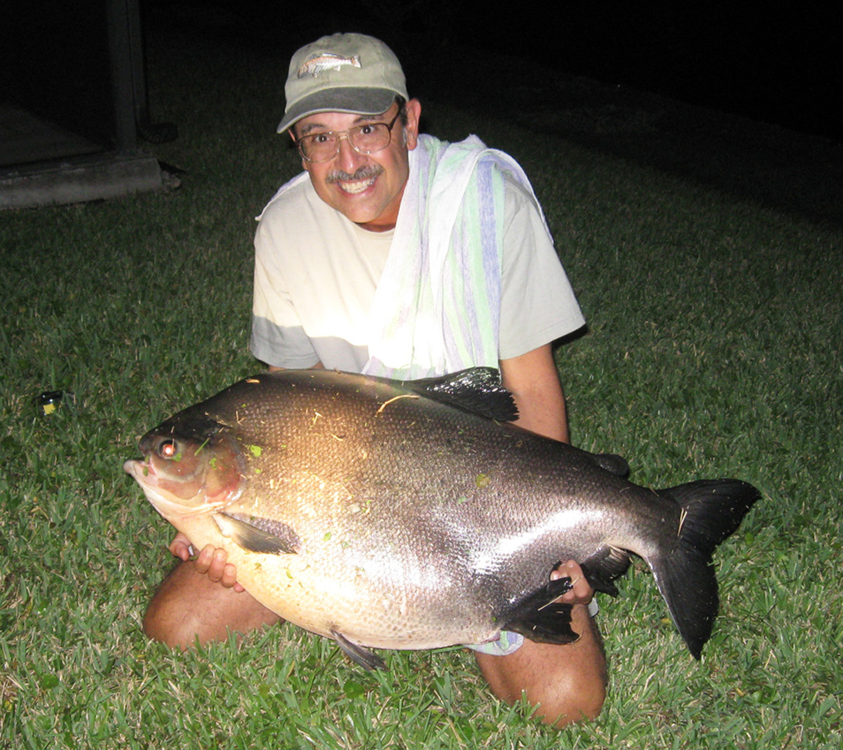Big Fishes of the World: PACU BLACK TAMBAQUI (Colossoma macropomum)