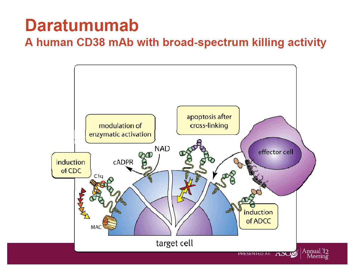 Mijn multiple myeloom: Studie Daratumumab