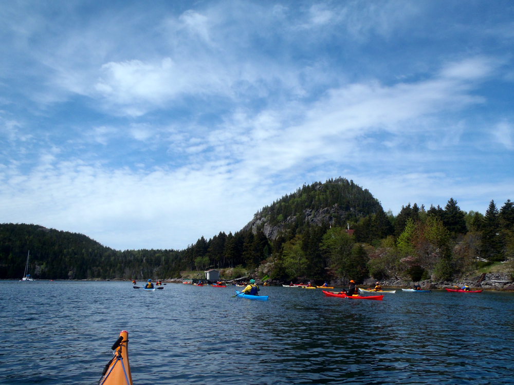 My Newfoundland Kayak Experience: A hoard of kayaks descends on ...