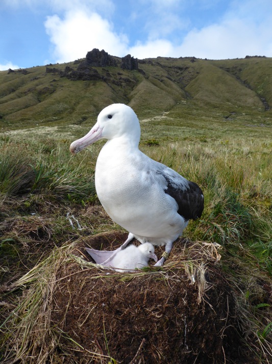 2000 Miles from Anywhere...: April 2017