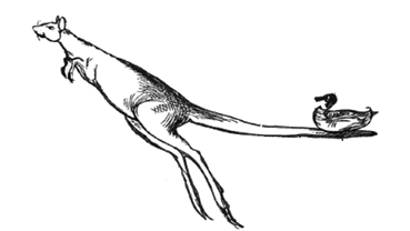 NPS ENGLISH CLASS - IX : THE DUCK AND THE KANGAROO @NONSENSE VERSE