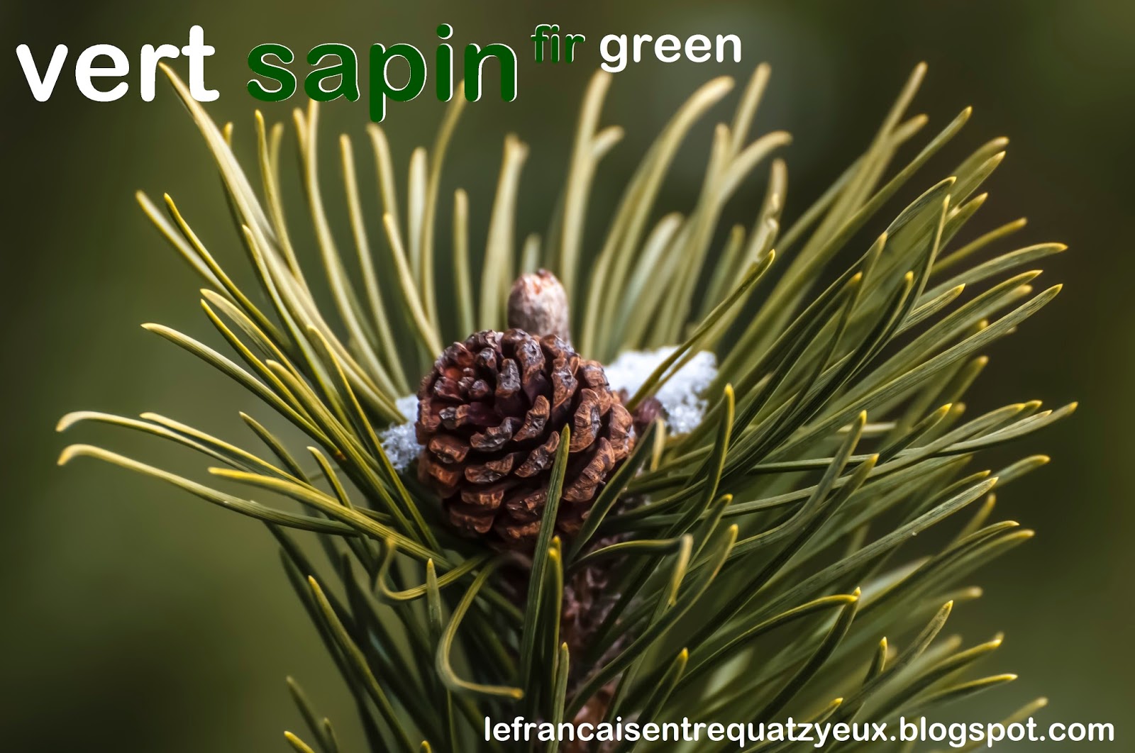 Vocabulaire autour des couleurs | French vocabulary about colors ...