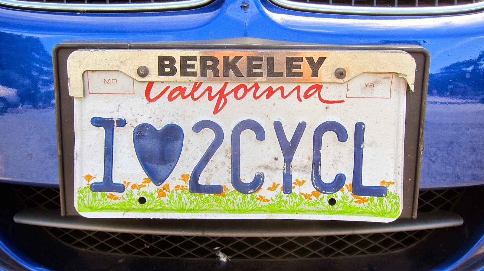 Green Bird: Friday Awesomeness: License Plate Edition