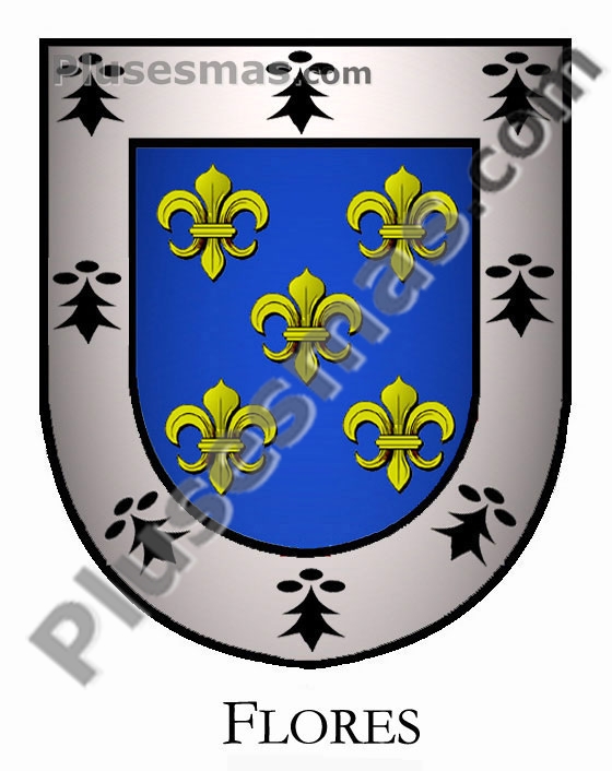 Wacha te cabe: Significado del apellido Flores