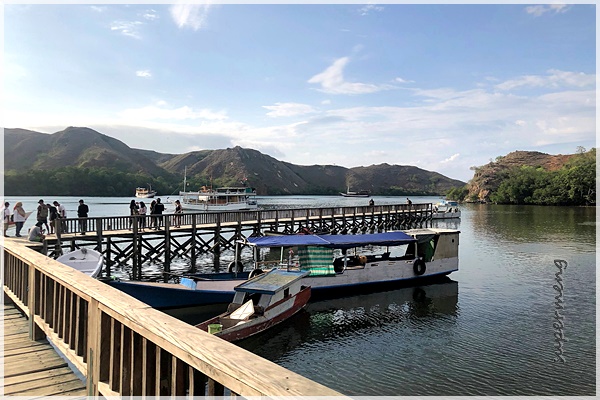 SUPERMENG MALAYA: JELAJAH2NUSA : 04 | Pulau RINCA ( Loh Buaya Komodo ...