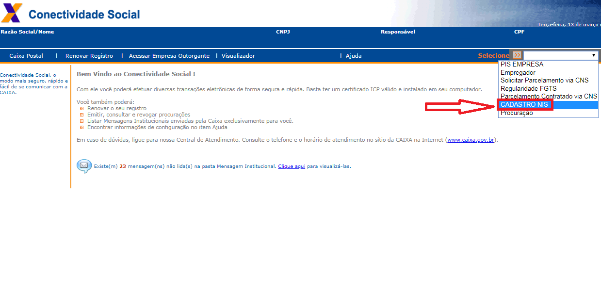 Conectividade Social Icp Erros Configuraes Alvesnet