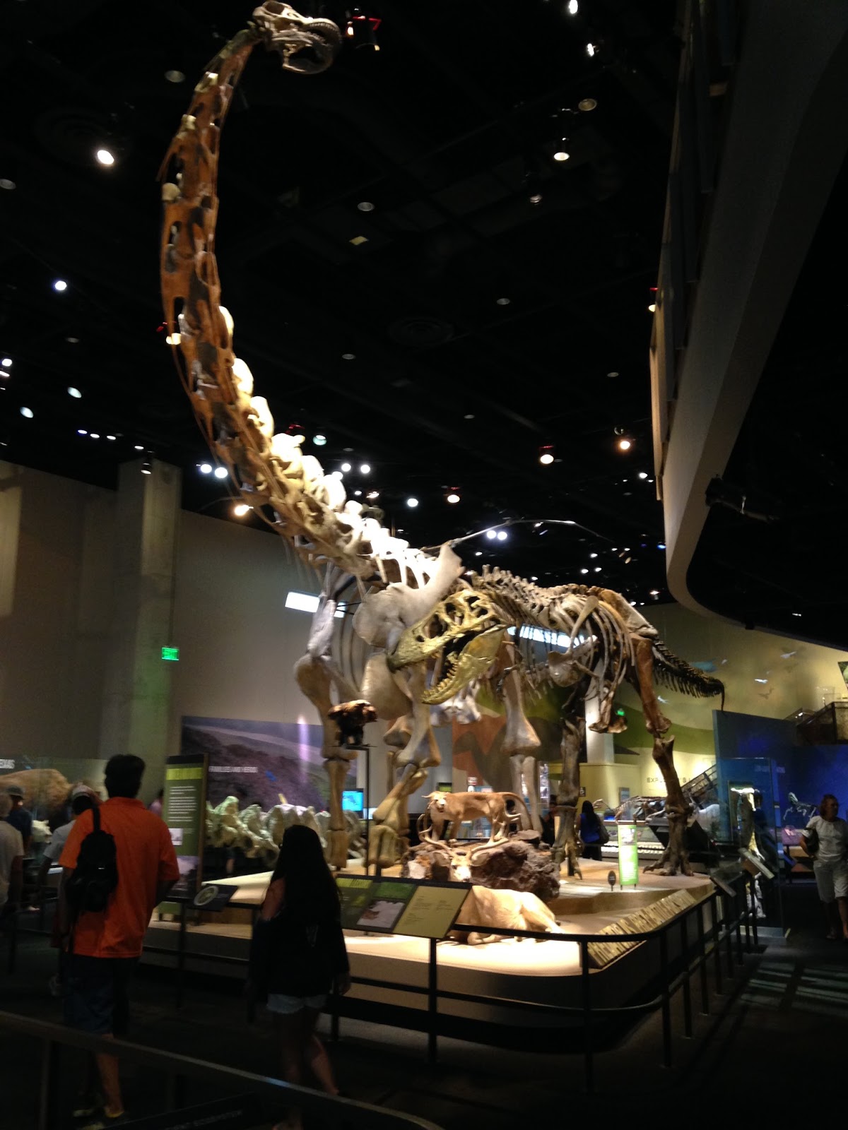 Perot Museum of Nature and Science | Queen of the Jungle