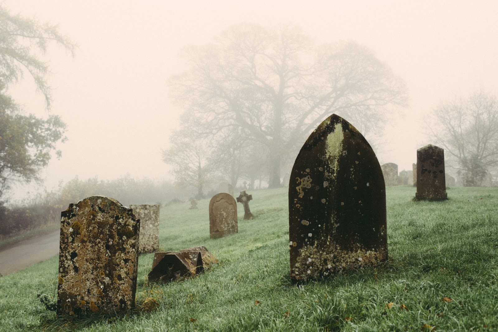 The Global Small Business Blog: How to Stay Out of An Early Grave with ...
