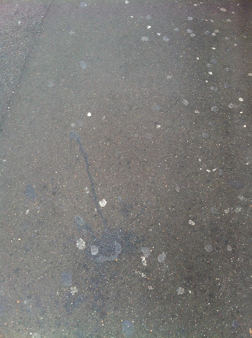 collected photographs: chewing gum on the foot path
