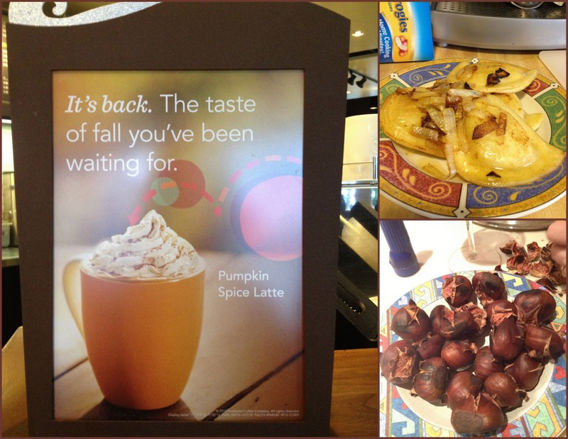 behind the leopard glasses: fell face first into fall