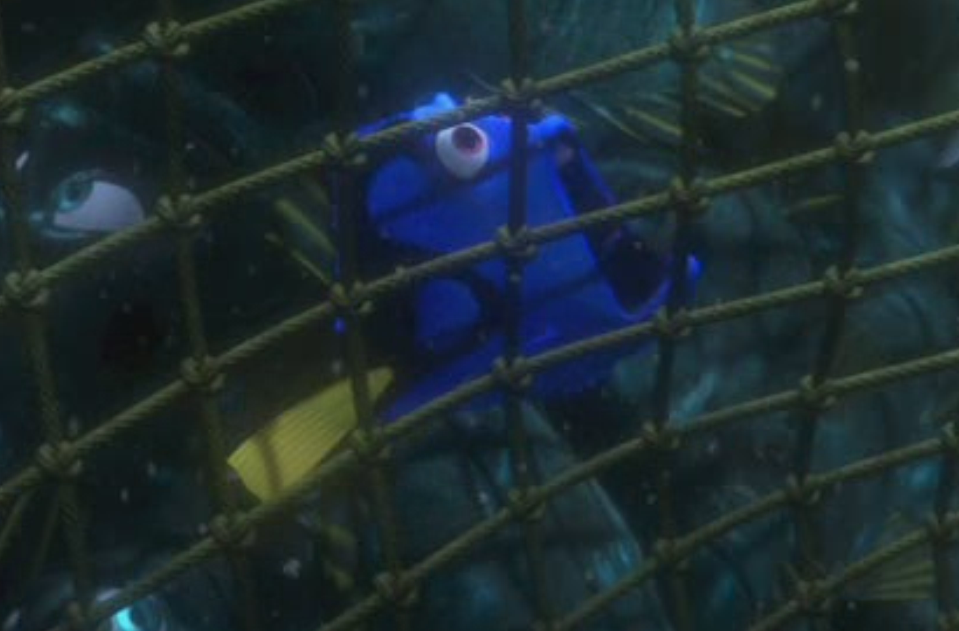 Cine foro/Pensamiento Crítico/Buscando a Nemo: Cine foro/ Buscando a Nemo