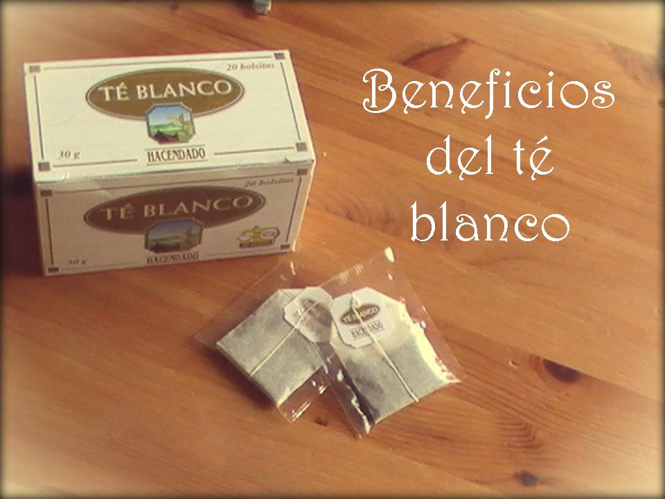 Margarita Vlog: de todo un poco y más: El té blanco y sus maravillosos ...