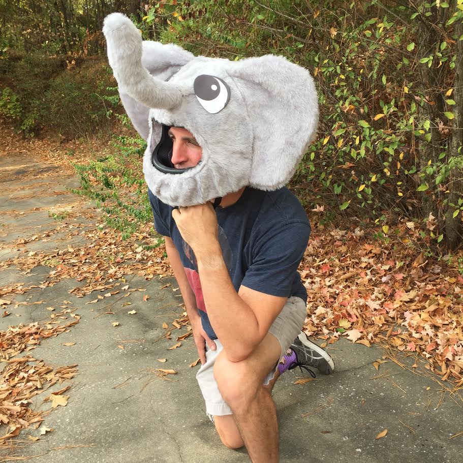 Motorcycle Helmets: Elephant Motorcycle Helmet Cover