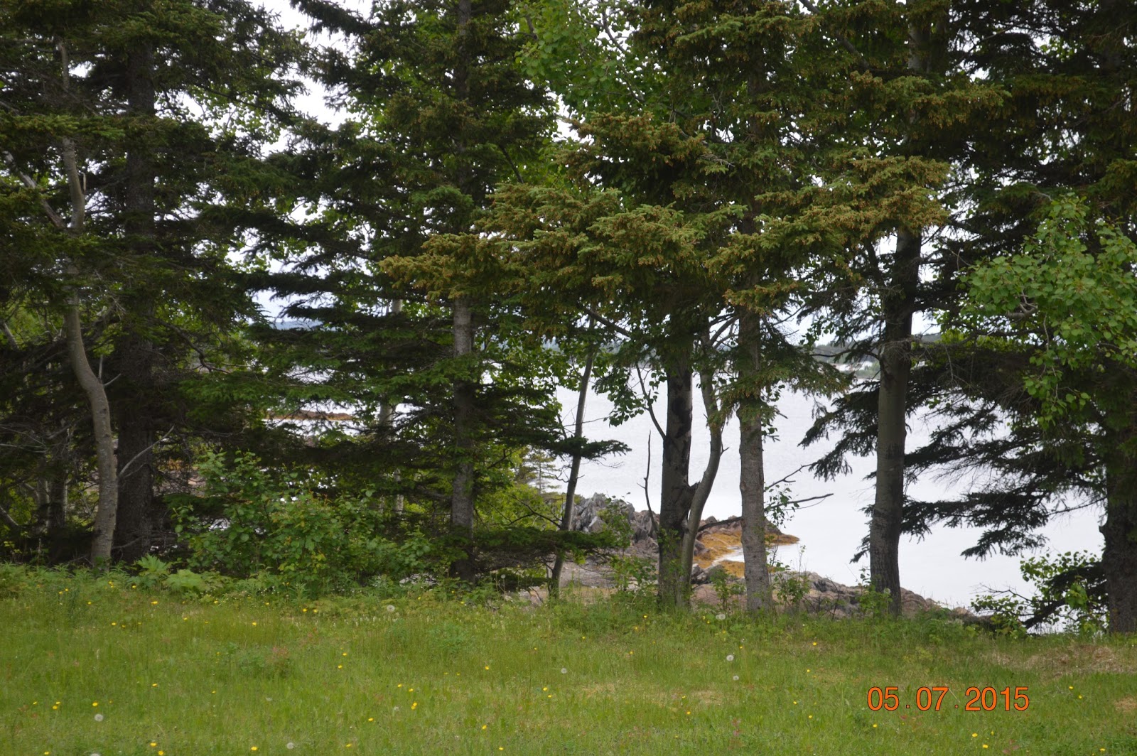 Exploring Newfoundland: 8-The Beothuk—Newfoundland’s Aboriginal People