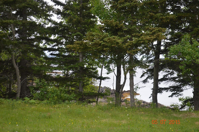 Exploring Newfoundland: 8-The Beothuk—Newfoundland’s Aboriginal People