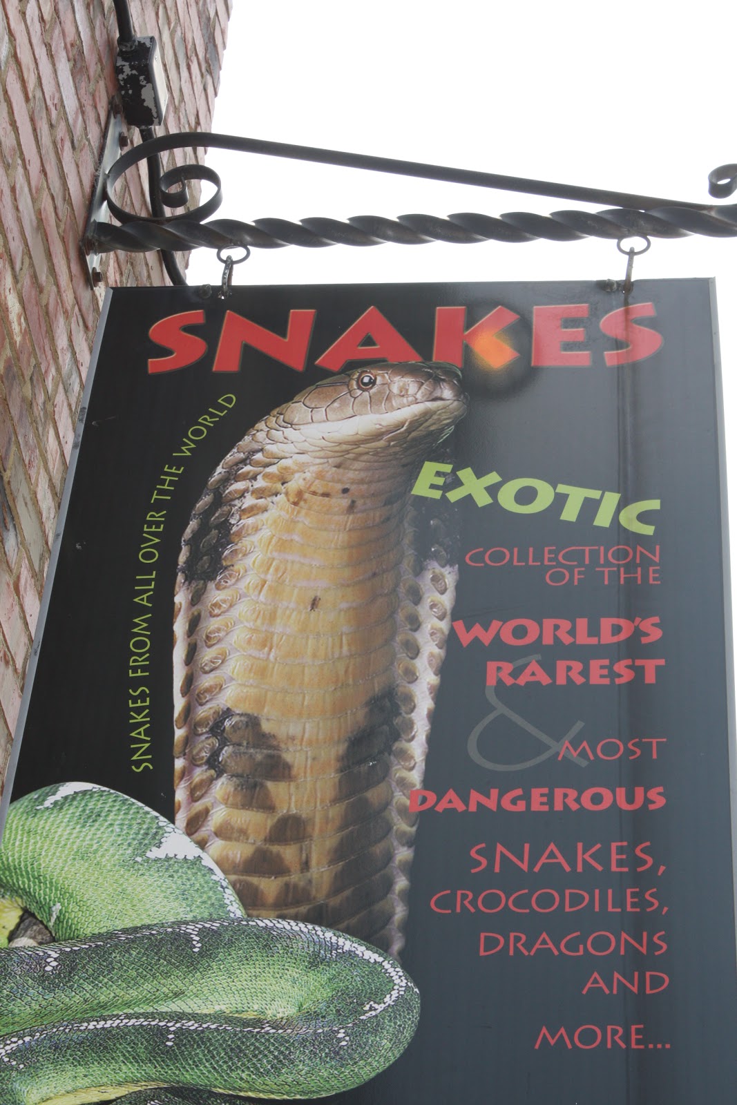 A Slice of Smith Life: July 2011