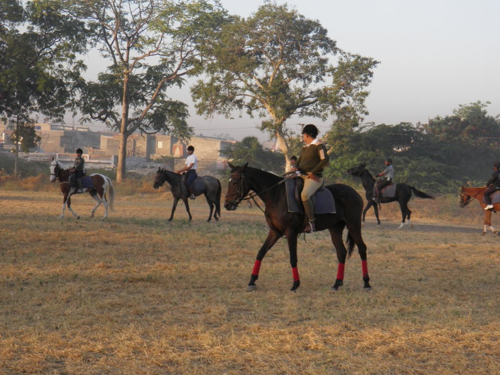 SHREE R D JHALA HORSE RIDING CLUB RAJKOT: MAHENDRASHINH