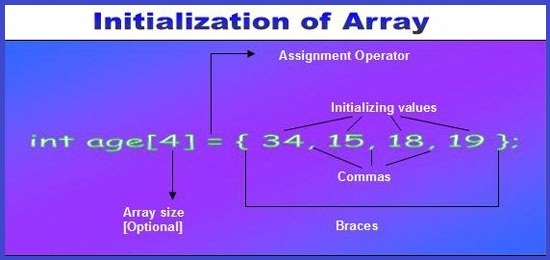 Detailed Overview Of One Dimensional Array Of C Language [tutorial