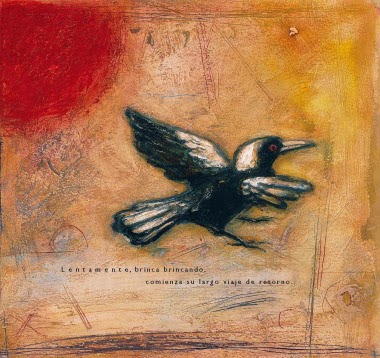 Zorro, de Margaret Wild y Ron Brooks | RZ100 Cuentos de boca