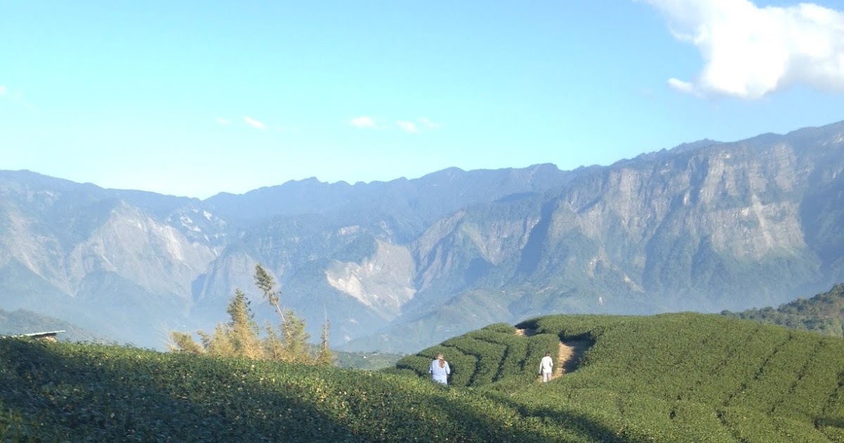 Floating Leaves Tea: 2016 Winter Taiwan Tea Trip: Meishan