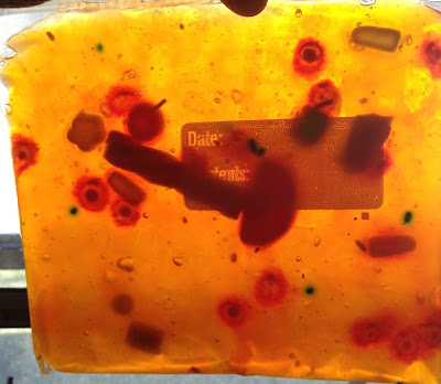 Learning In Grace: DIY 3D Edible Jello Cell-Human Body Unit 5th Grade