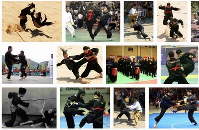 Pintar Belajar Pendidikan Jasmani dan Olahraga: Istilah Dalam Pencak Silat