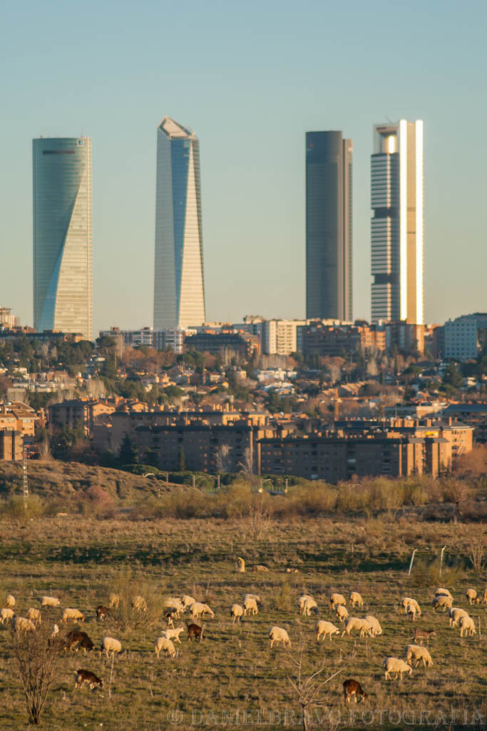 Cómo se hizo la fotografía de las 4 Torres de Madrid